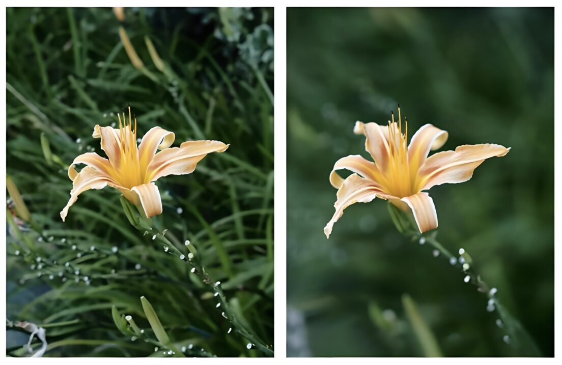 How to Handle a Small Depth of Field (DOF): Tips and Solutions - AICO lens How to Handle a Small ...